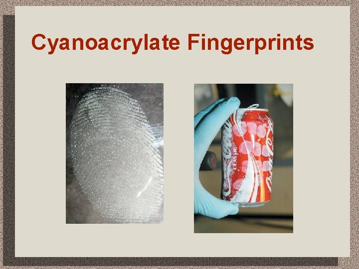 Fingerprints Fingerprints cannot lie but liars can make