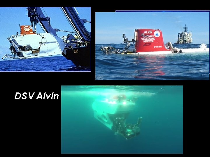 Symbiosis and the Deep Sea Summer Workshop in