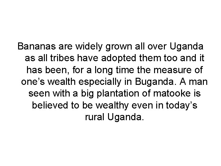 PEPARING MATOOKE THE STAPLE FOOD OF BUGANDA UGANDA