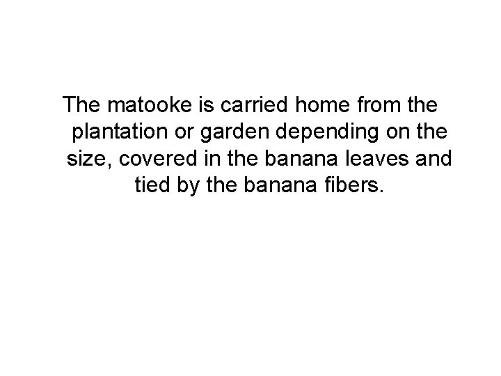 PEPARING MATOOKE THE STAPLE FOOD OF BUGANDA UGANDA