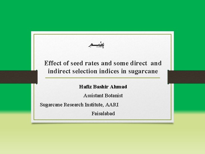 Effect of seed rates and some direct and