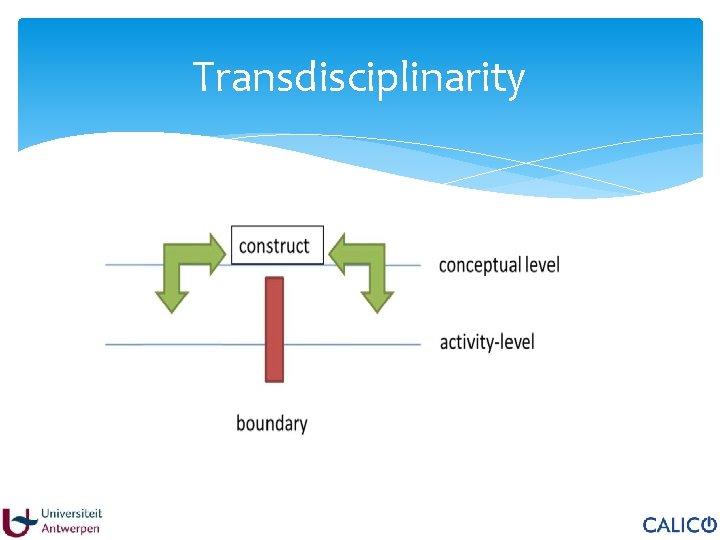 CALL as a transdisciplinary endeavor toward a respected