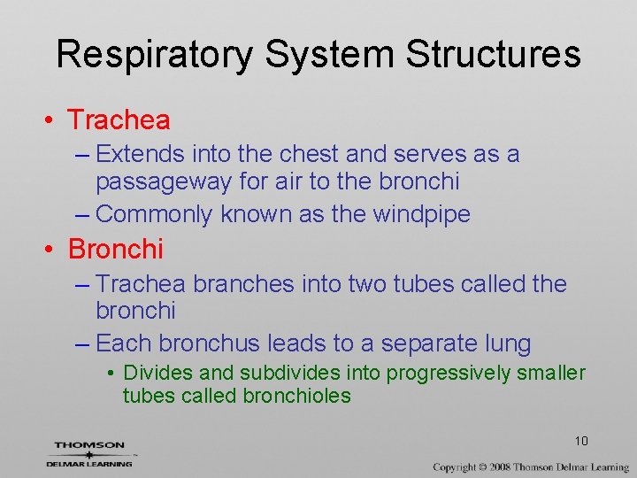 CHAPTER 11 Respiratory System Respiratory System Overview Responsibilities