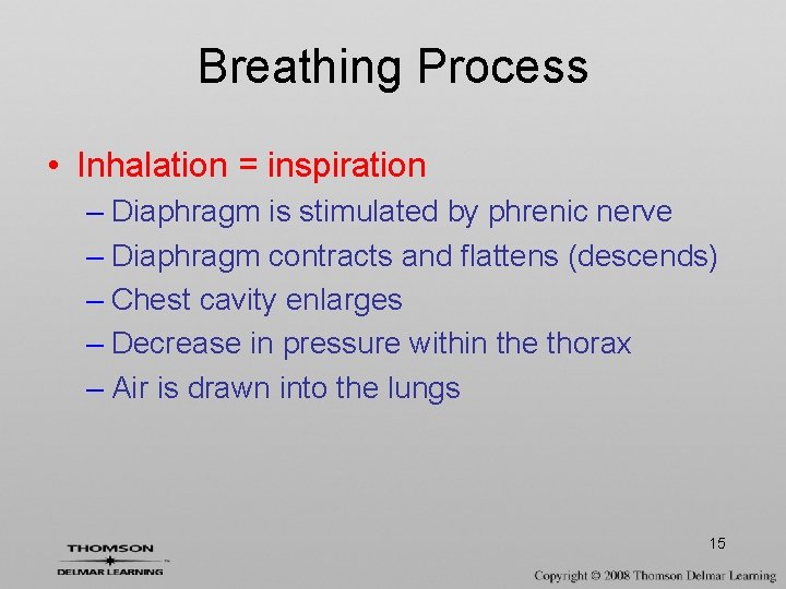 CHAPTER 11 Respiratory System Respiratory System Overview Responsibilities