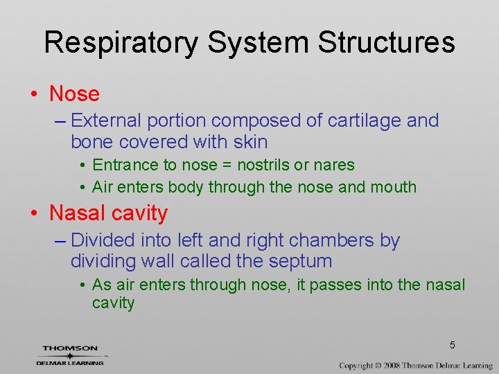 CHAPTER 11 Respiratory System Respiratory System Overview Responsibilities