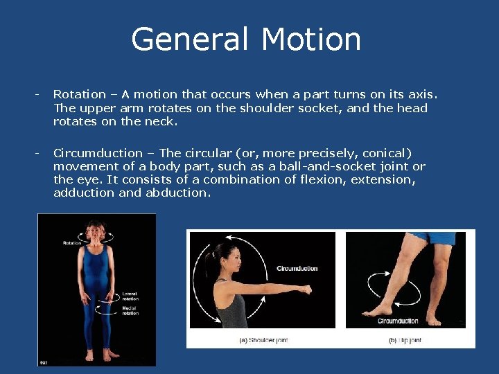 Anatomy II Body Systems and Energy for Physical