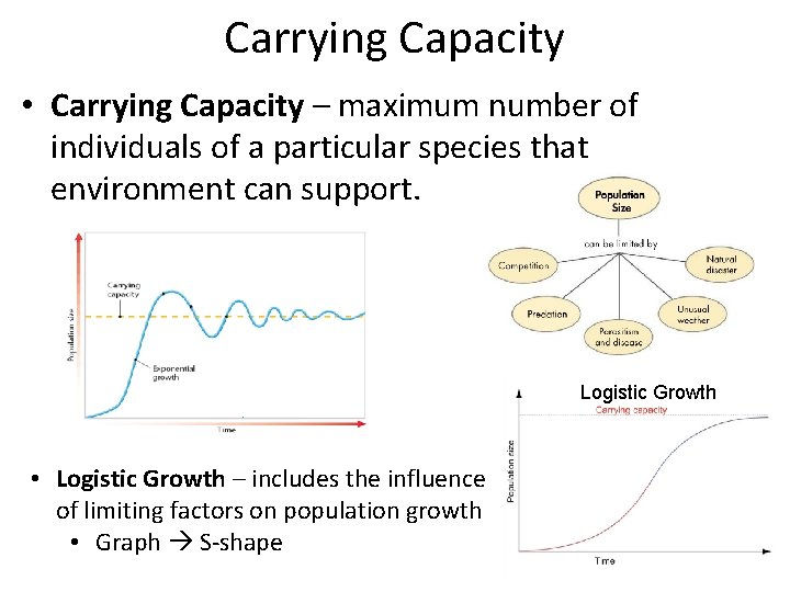 Chapters 4 5 6 Communities Ecosystems Biomes Populations