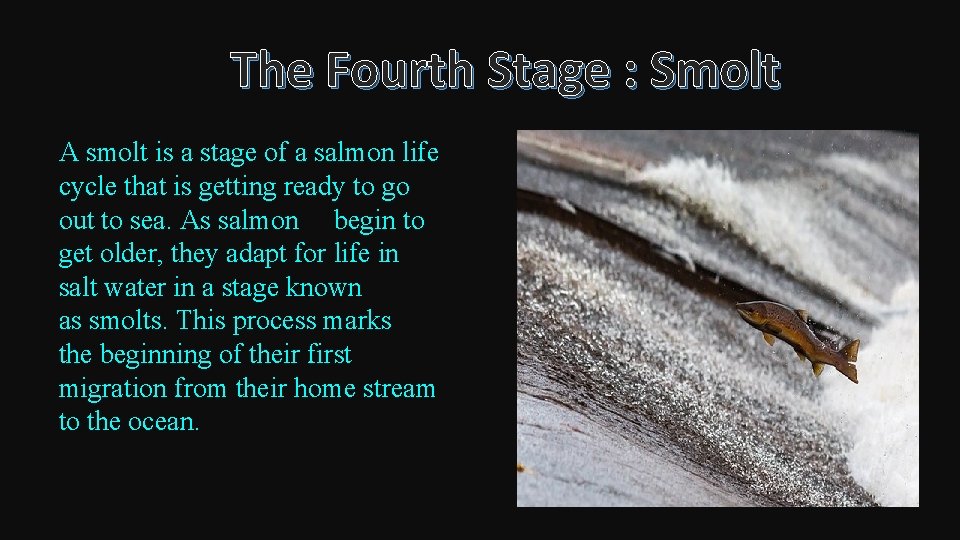 Salmon Life Cycle 6 th Class Kiltartan National