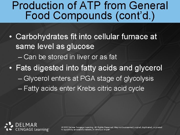 Chapter 4 CELLULAR METABOLISM AND REPRODUCTION MITOSIS AND