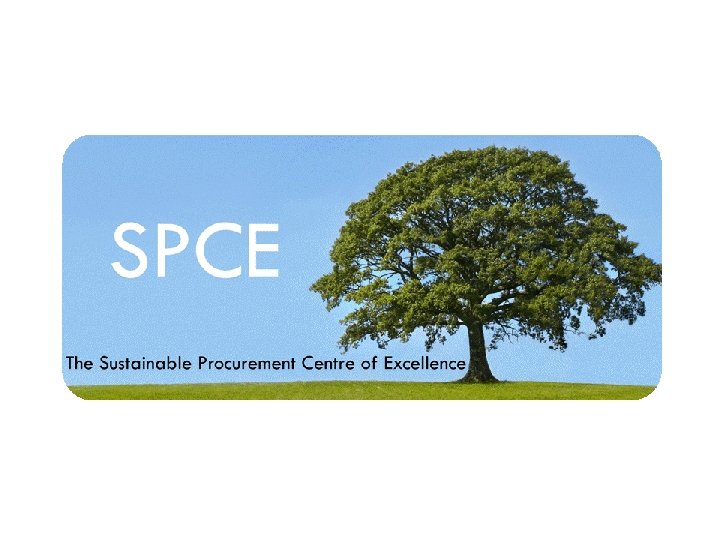 The Team Janine Hamilton Sustainable Procurement Project Manager