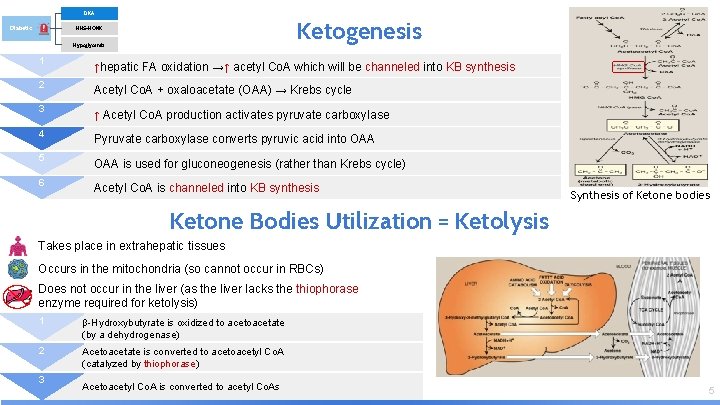 Diabetic Ketoacidosis Color Index Main Topic Main content