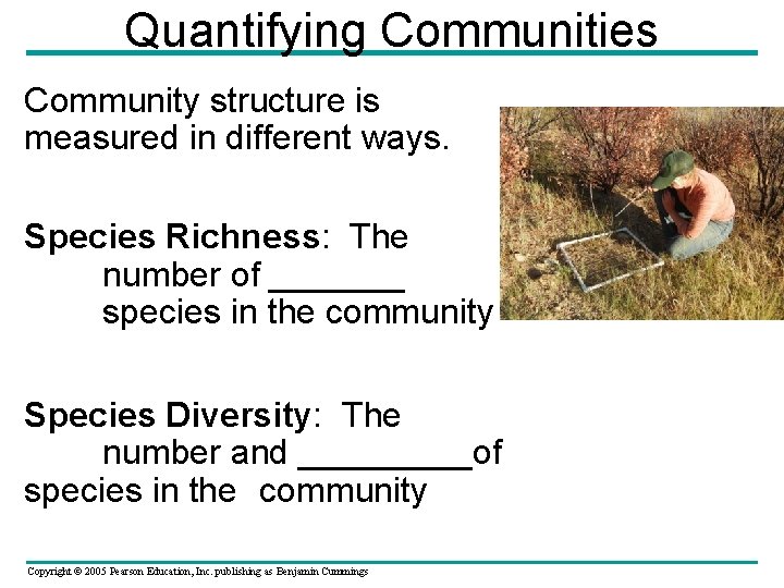 Quantifying Communities Community structure is measured in different