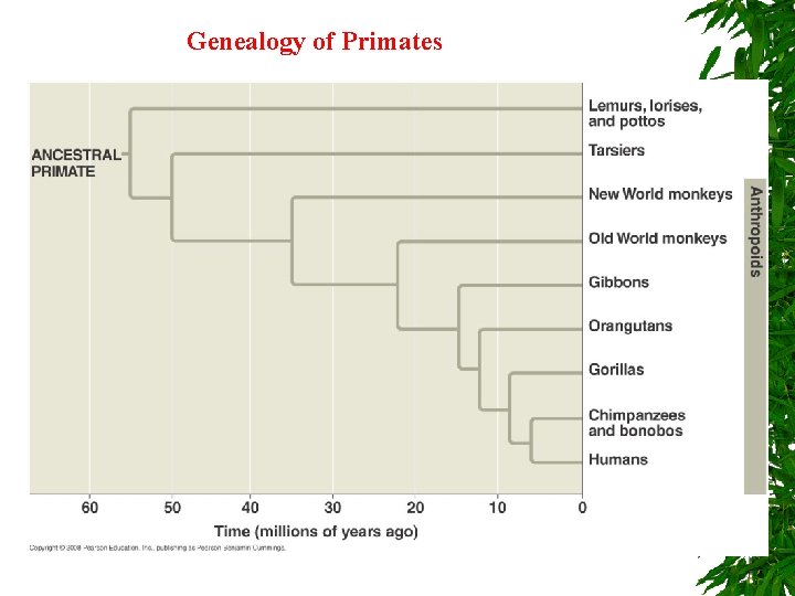 I What is Biology Begs two questions what