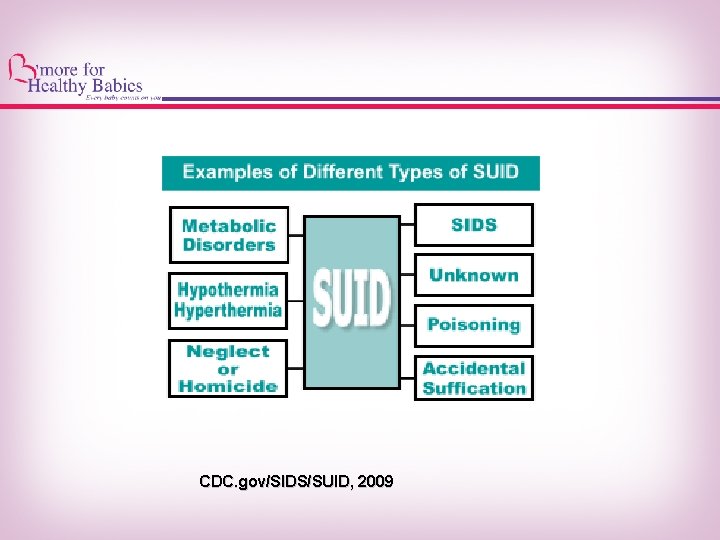 Sudden Infant Death Syndrome in Baltimore City Stephanie
