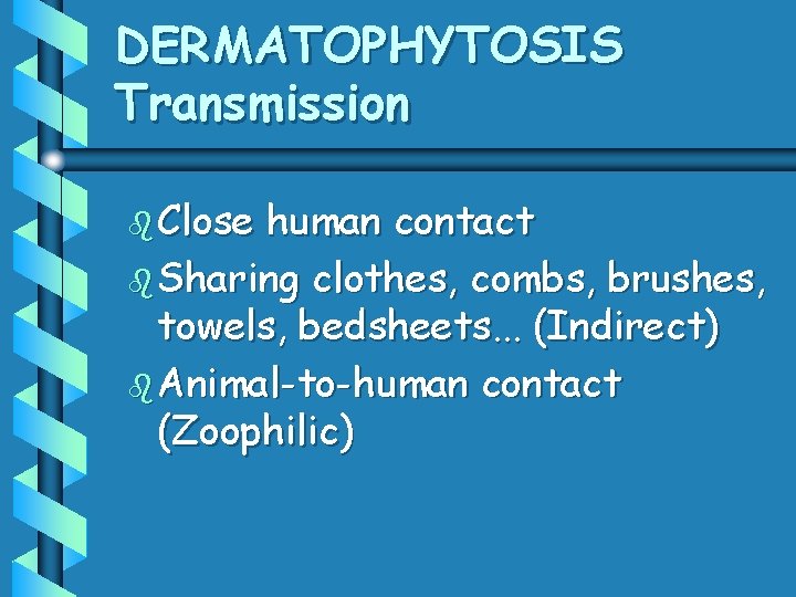 SUPERFICIAL MYCOSES b Dermatophytosis b Pityriasis versicolor b