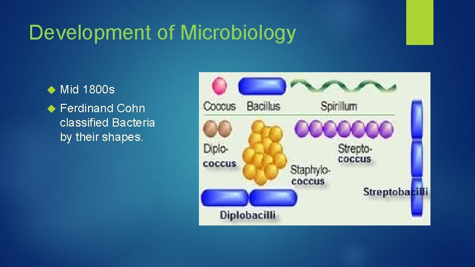 Introduction to Microbiology CHAPTER 1 SECTION 1 DEFINING
