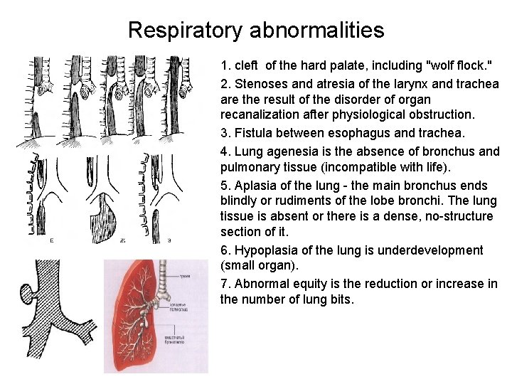 ANATOMICAL and PHYSIOLOGICAL PECULIARITIES OF THE CHILDRENS RESPIRATORY