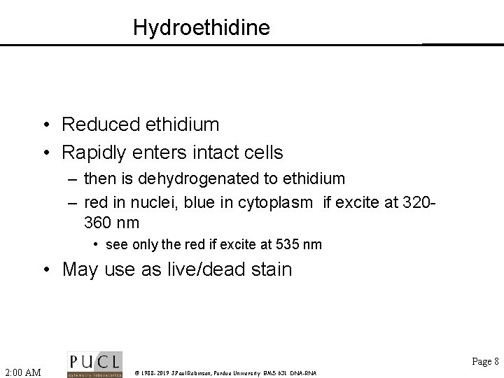 BMS 631 LECTURE 11 Flow Cytometry Theory DNARNA