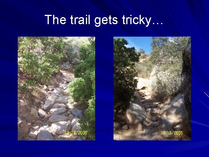 Welcome to the Childrens Discovery Trail Happy Trails