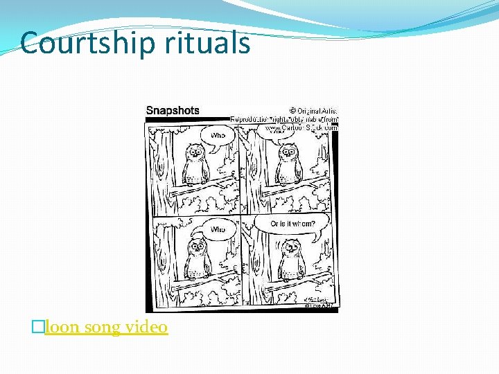 Evidence of relationships between organisms 15 2 Courtship