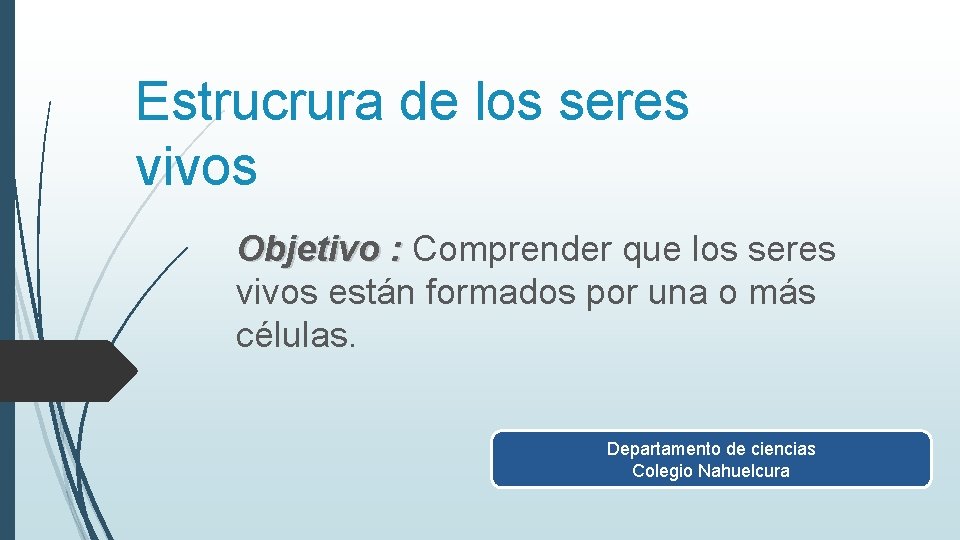 Estrucrura de los seres vivos Objetivo Comprender que