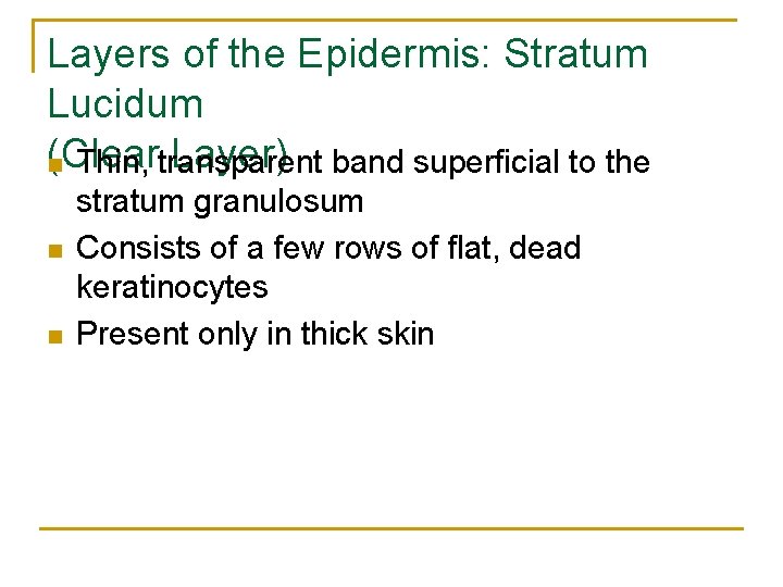 Unit 4 Integumentary System Chapter 5 The Integumentary