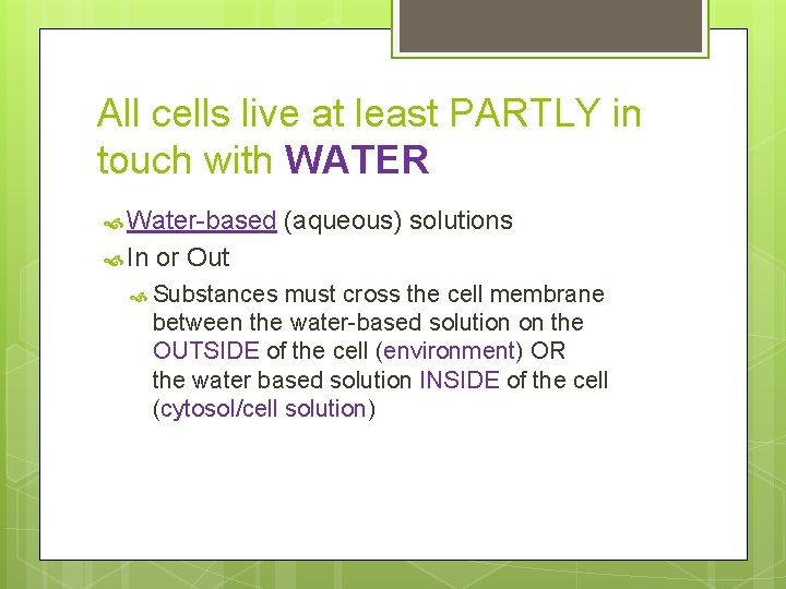 CP Biology 2013 Cellular Transport The keys to