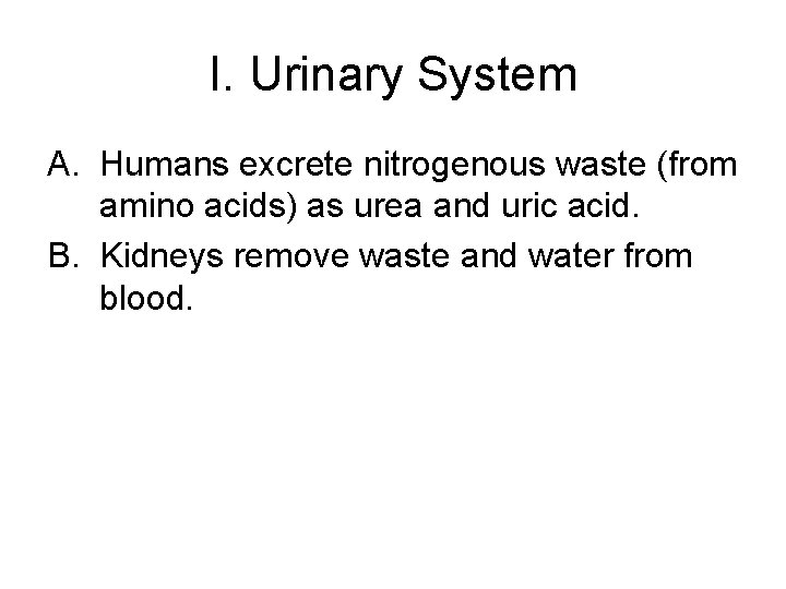 I Urinary System A Humans excrete nitrogenous waste