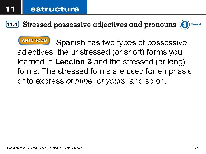 Spanish has two types of possessive adjectives the