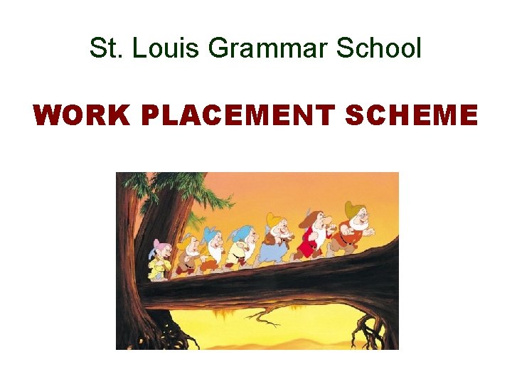St Louis Grammar School WORK PLACEMENT SCHEME What
