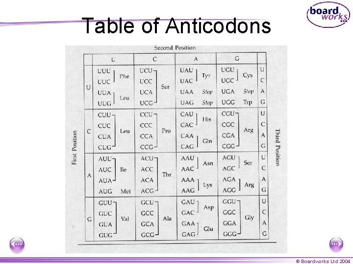 KS 4 Biology Chromosomes Genes and DNA Boardworks