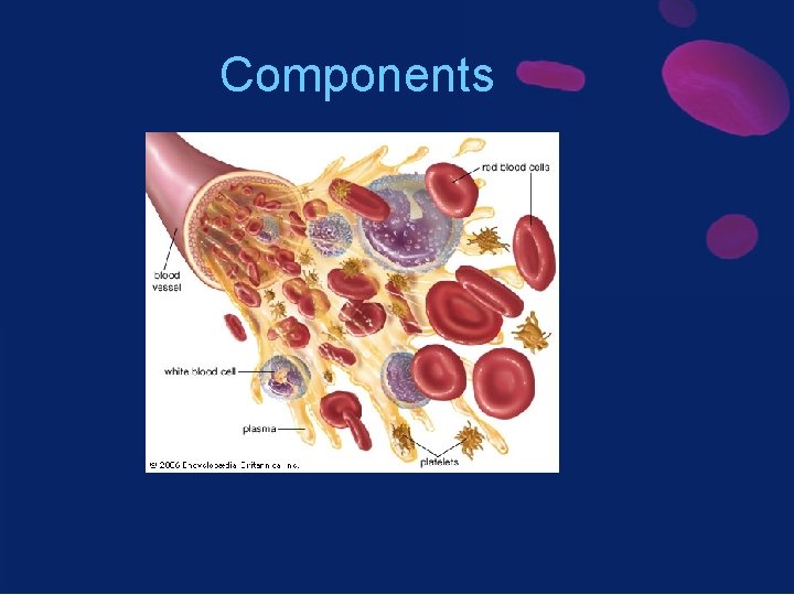 Packed Red Cells Administration of Blood Products Dena