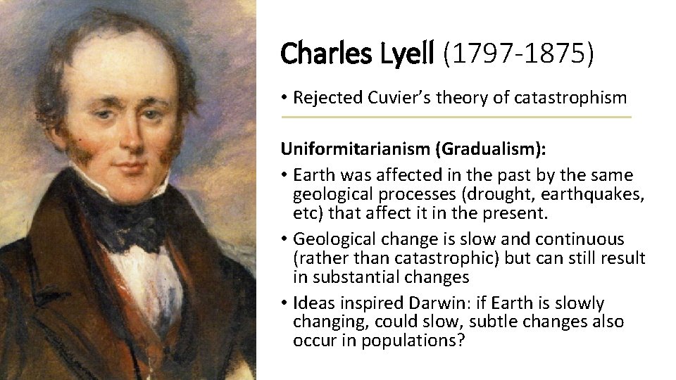 The History of Evolution Scientific Contributions to Developing