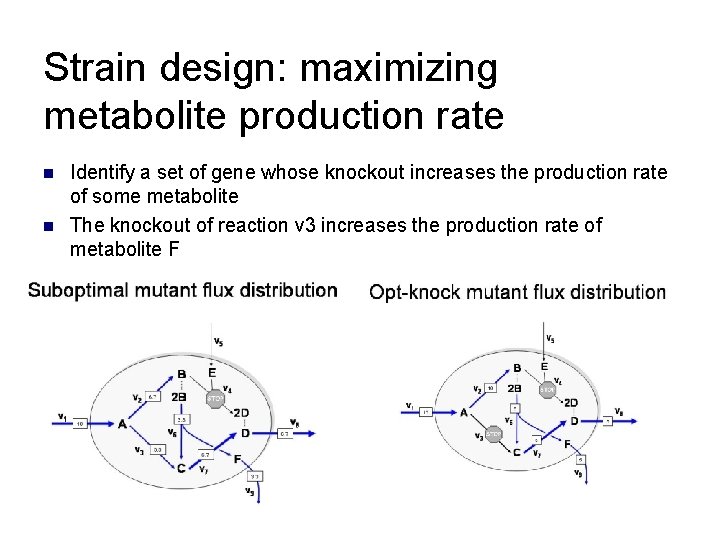 Constraintbased Modeling of Metabolic Networks Zhuo Wang Outline