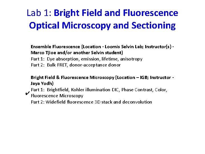 Fluorescence get beautiful pictures www invitrogen com Lab