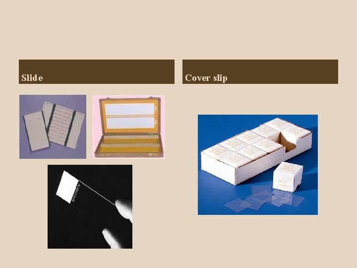 Laboratory Safety Rules Always wear a laboratory coat