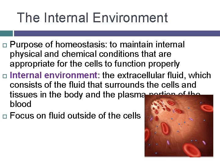 HOMEOSTASIS MAINTAINING AN INTERNAL BALANCE SBI 4 U