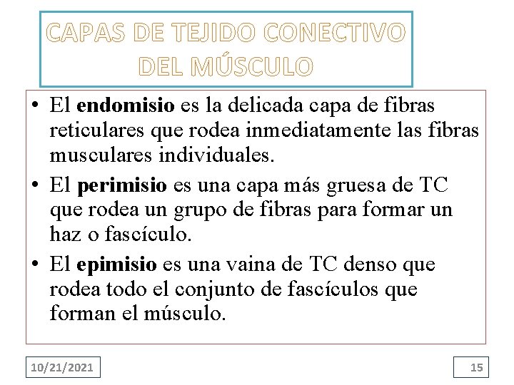 14 Tejido Muscular 10212021 1 OBJETIVOS Que el