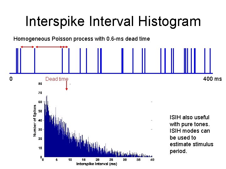 Auditory Nerve Laboratory What was the Stimulus Bertrand