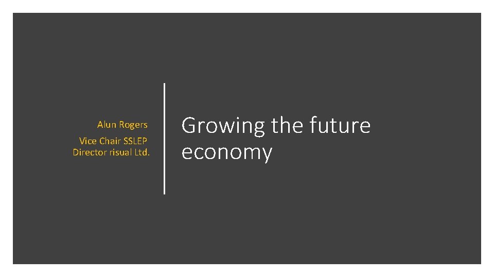 Alun Rogers Vice Chair SSLEP Director risual Ltd