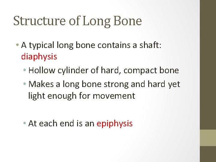 The Skeletal System Health Science I Bone Facts