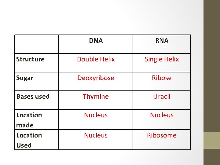 Differences between DNA and RNA Making A Protein
