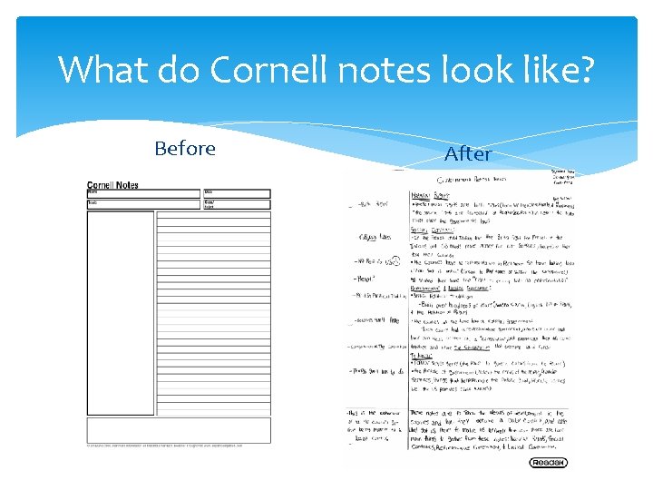 Study Skills NoteTaking to Remember Critical Reading for