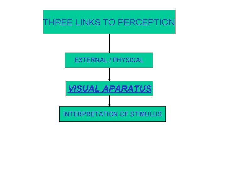 Sensation and Perception Optical Illusions OPTICAL ILLUSIONS ILLUSIONS