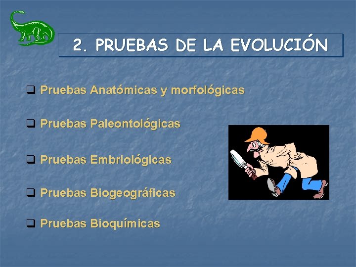 LA EVOLUCIN 4 de E S O El