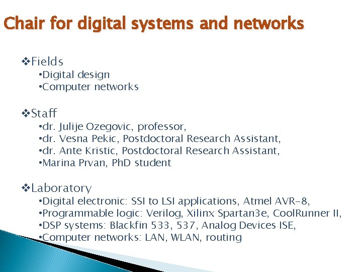 Chair for digital systems and networks v Fields