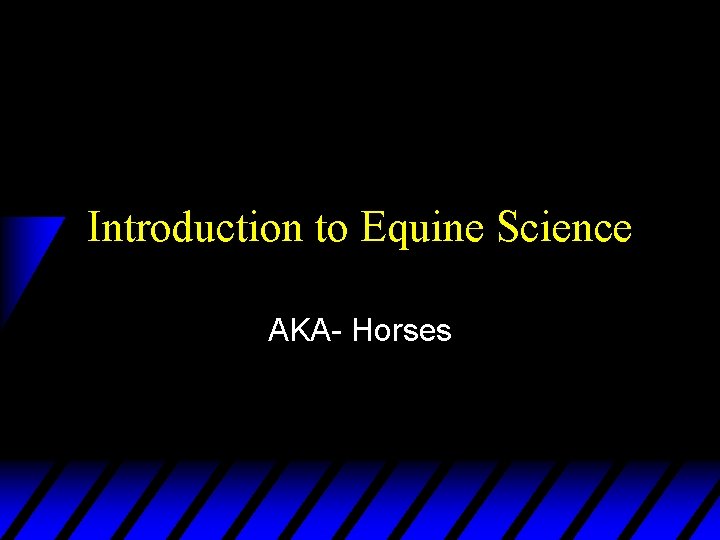 Introduction to Equine Science AKA Horses I Breeds