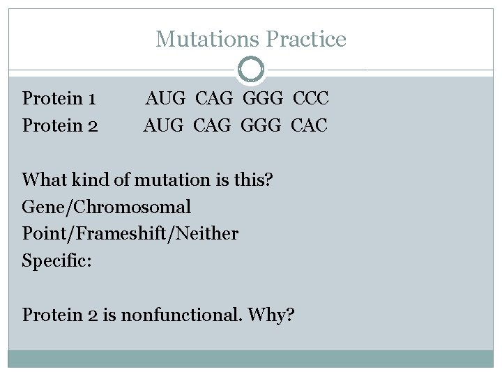 Unit 4 Review DNARNA Structure Function DNA Bases