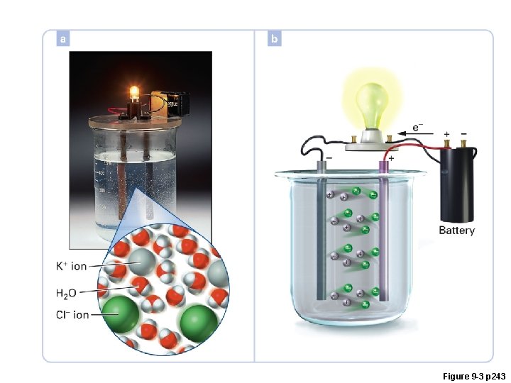 Outline I Chemical Reactions A B II III