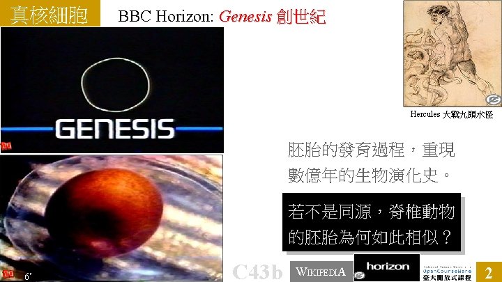 2 BBS Horizon Genesis BBC 1986 465265 2